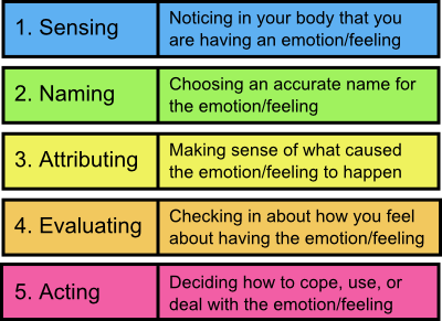 Understanding Emotional Triggers – 100 Steps Mission