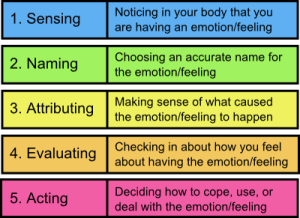 Understanding Emotional Triggers – 100 Steps Mission