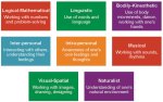 Using the 9 types of intelligence in management – 100 Steps Mission
