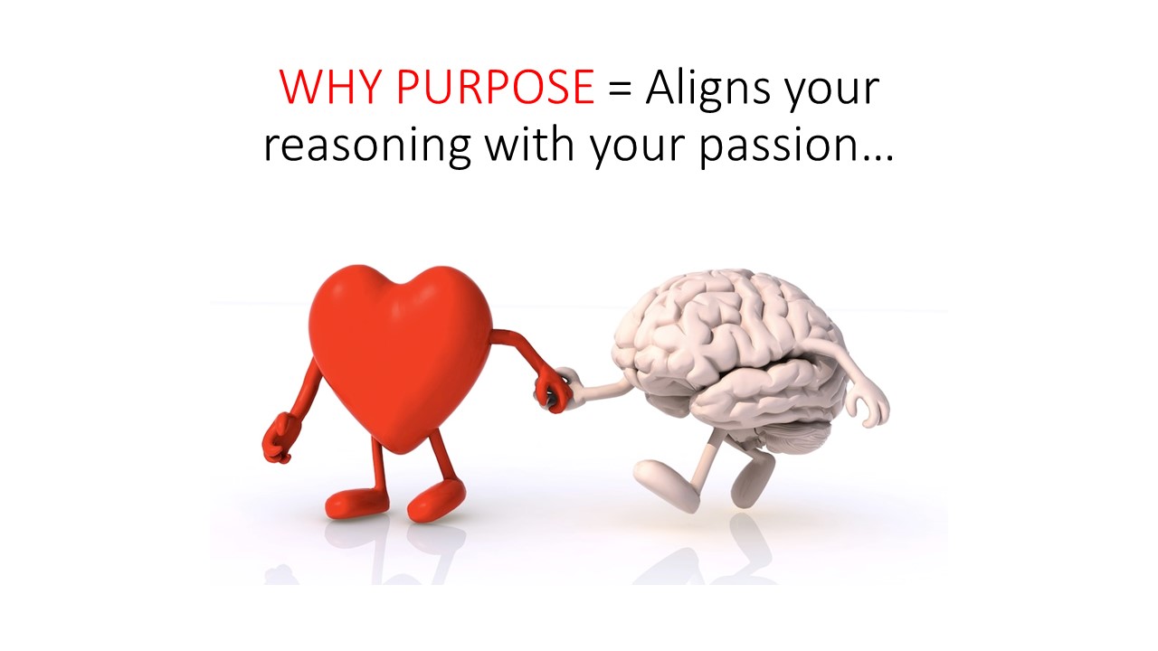 “Why factor” in leadership – 100 Steps Mission