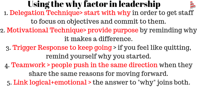 “Why factor” in leadership – 100 Steps Mission